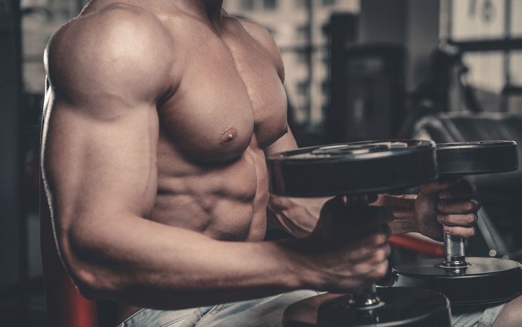 4 Exercises to Get Toned and Defined Arms | GoWell Workouts