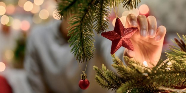 The Single’s Guide to Life in the World’s Longest Christmas Season ...